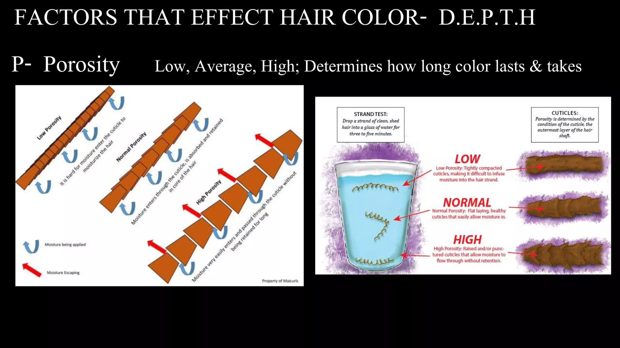 Milady Haircolor | PPTX