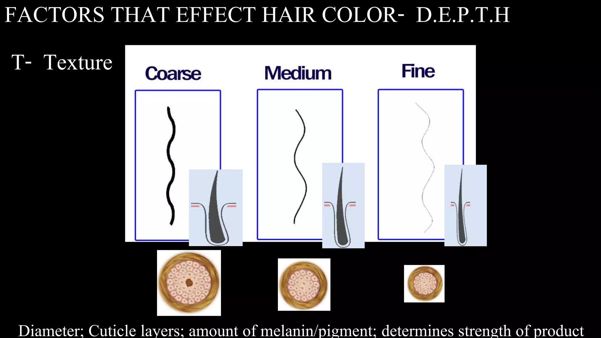 Milady Haircolor | PPTX