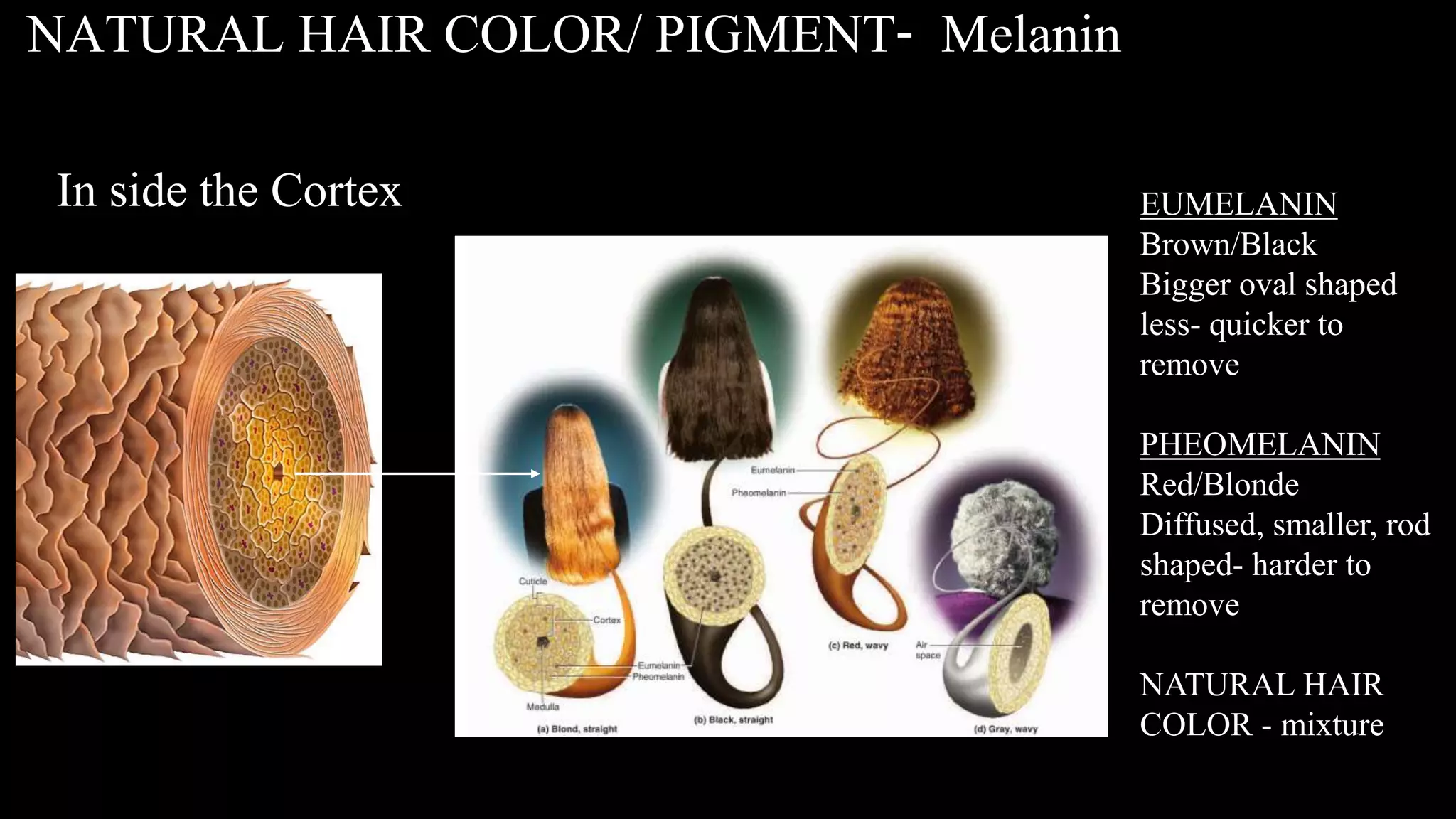 Milady Haircolor | PPTX