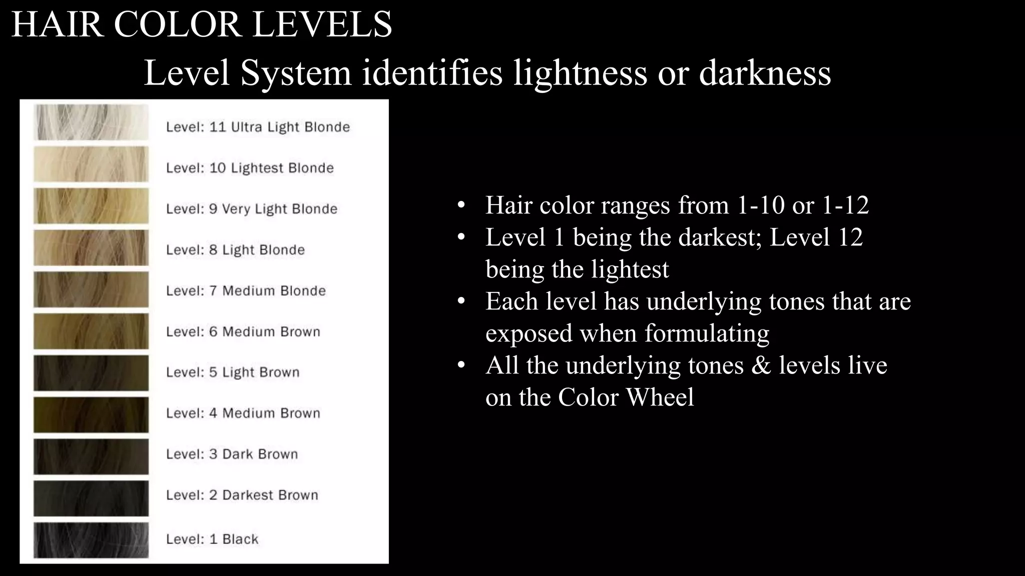 Milady Haircolor | PPTX