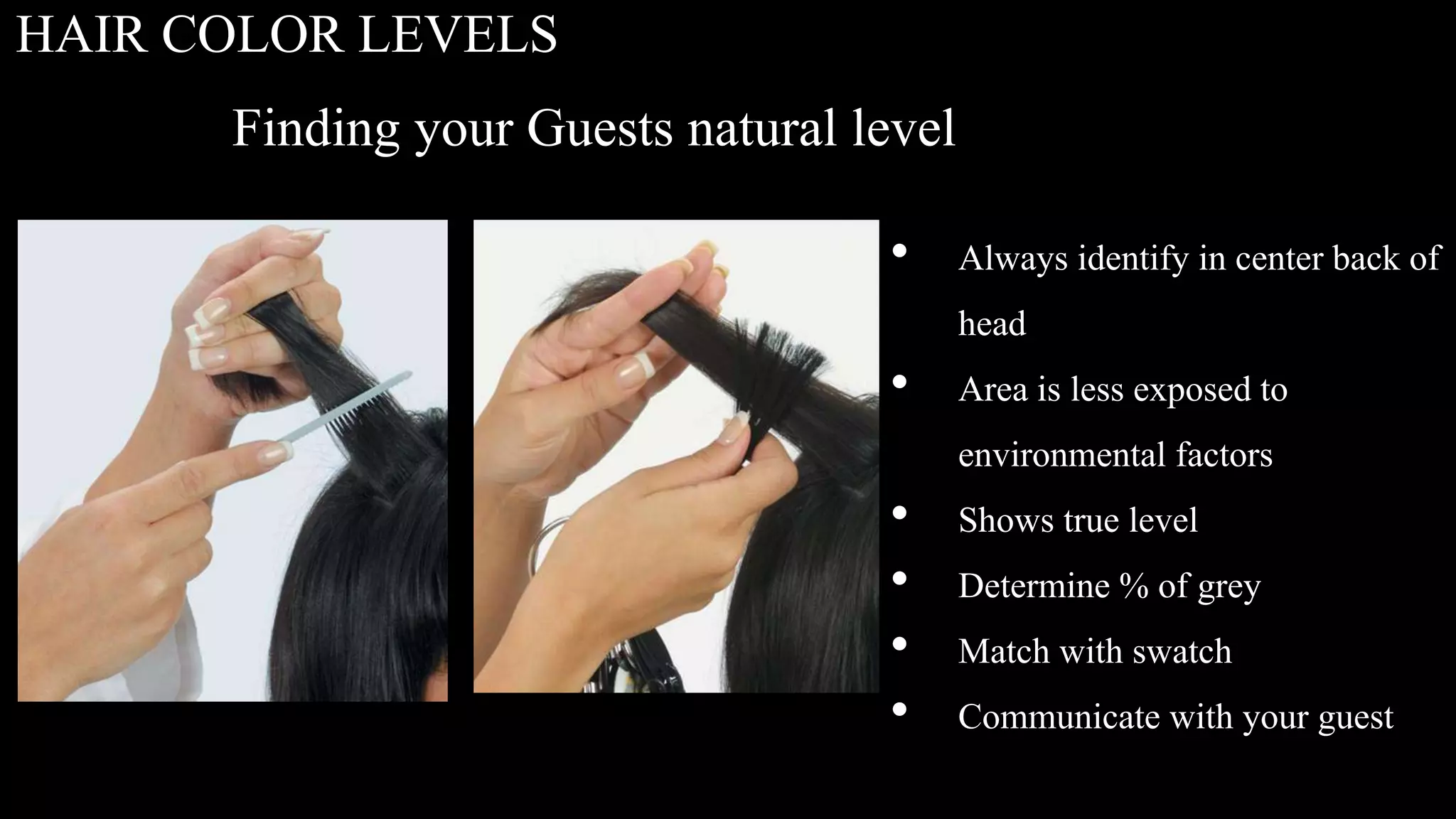 Milady Haircolor | PPTX