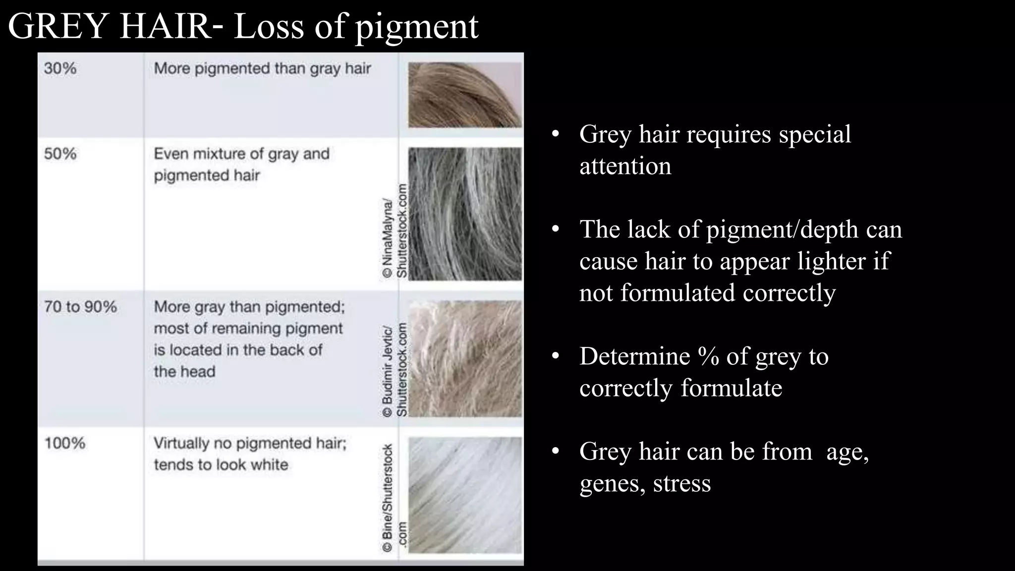 Milady Haircolor | PPTX