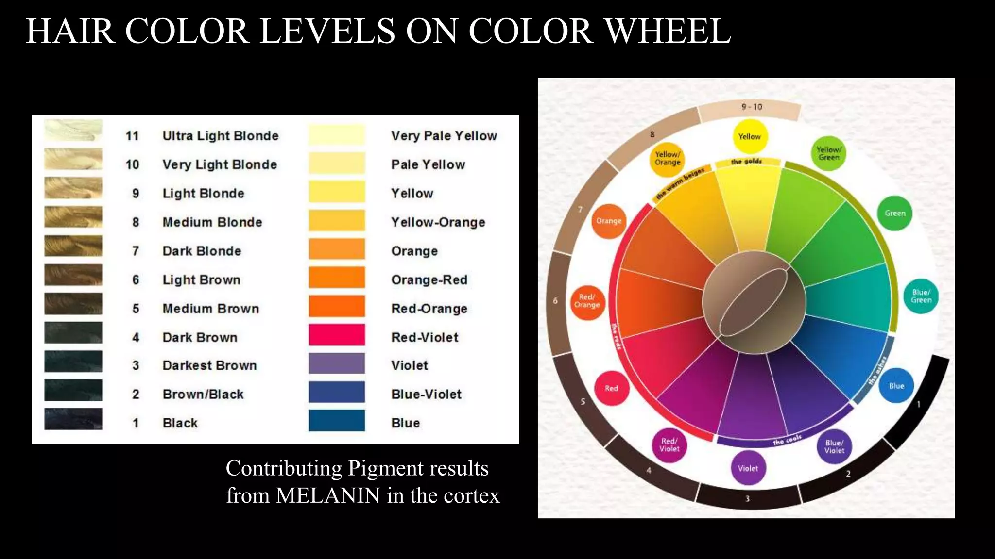 Milady Haircolor | PPTX