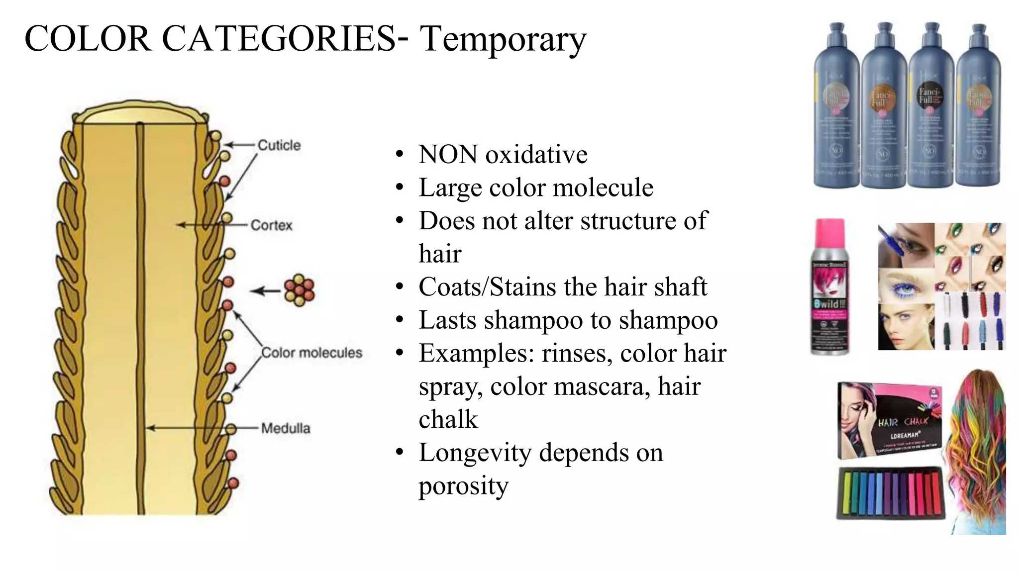 Milady Haircolor | PPTX