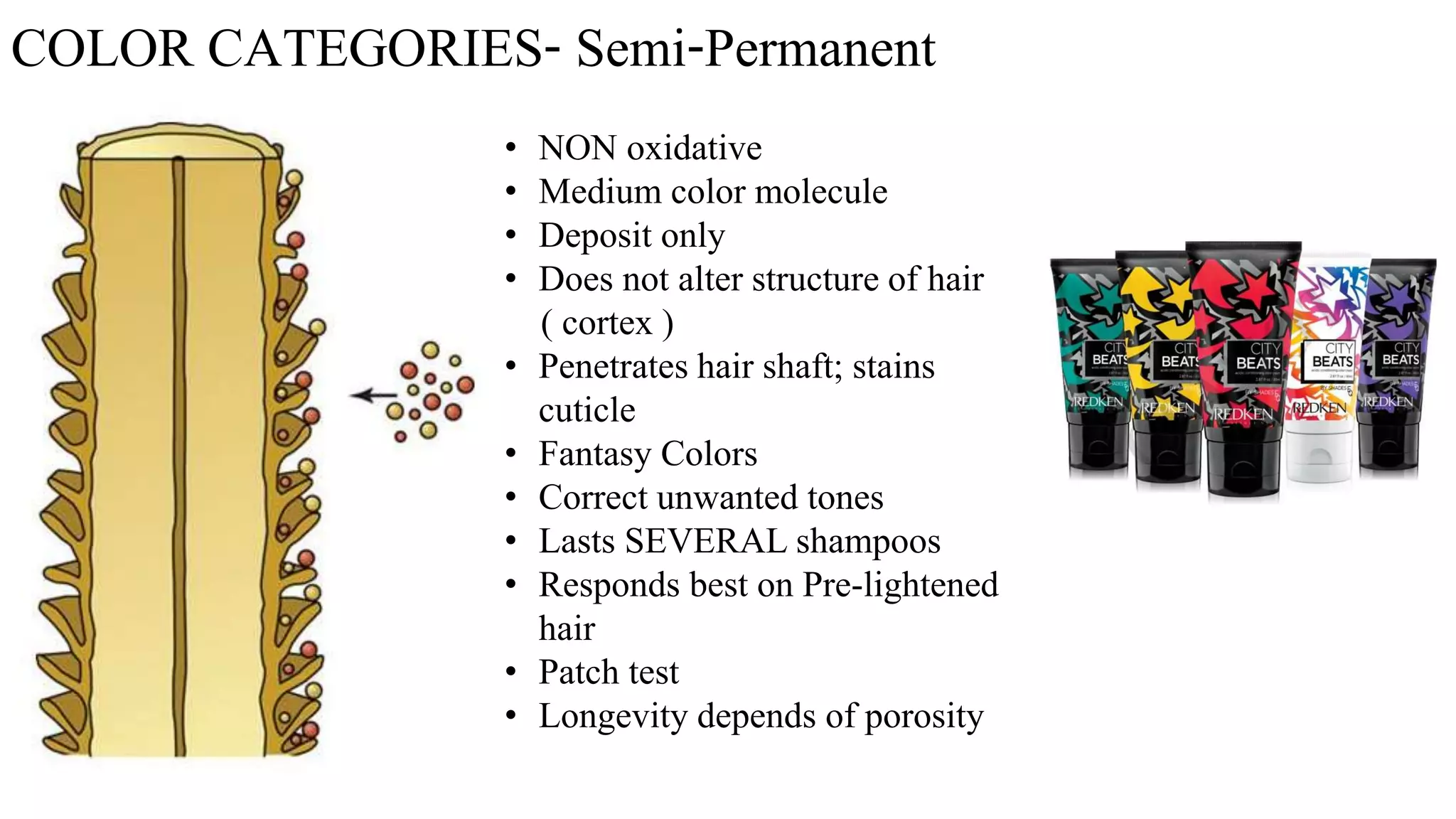 Milady Haircolor | PPTX