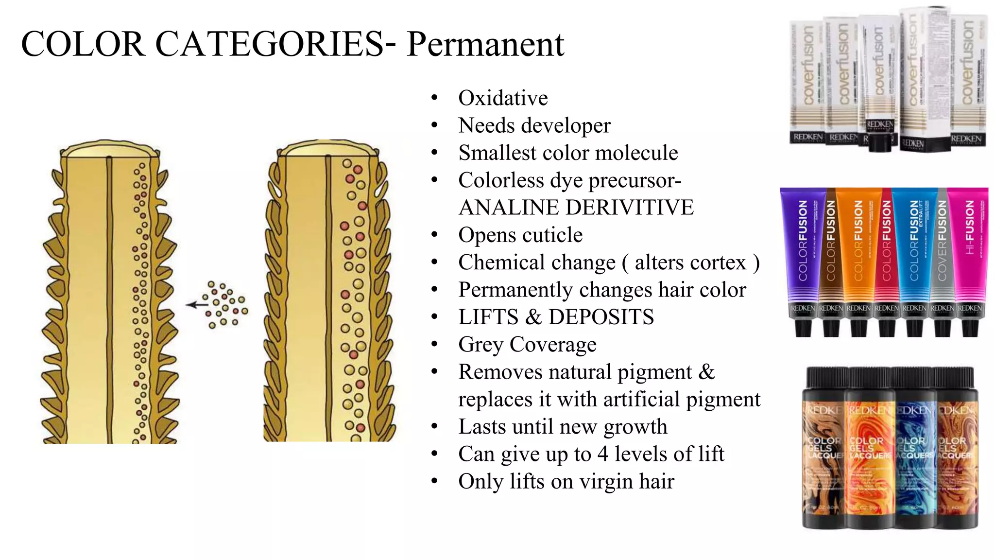 Milady Haircolor | PPTX