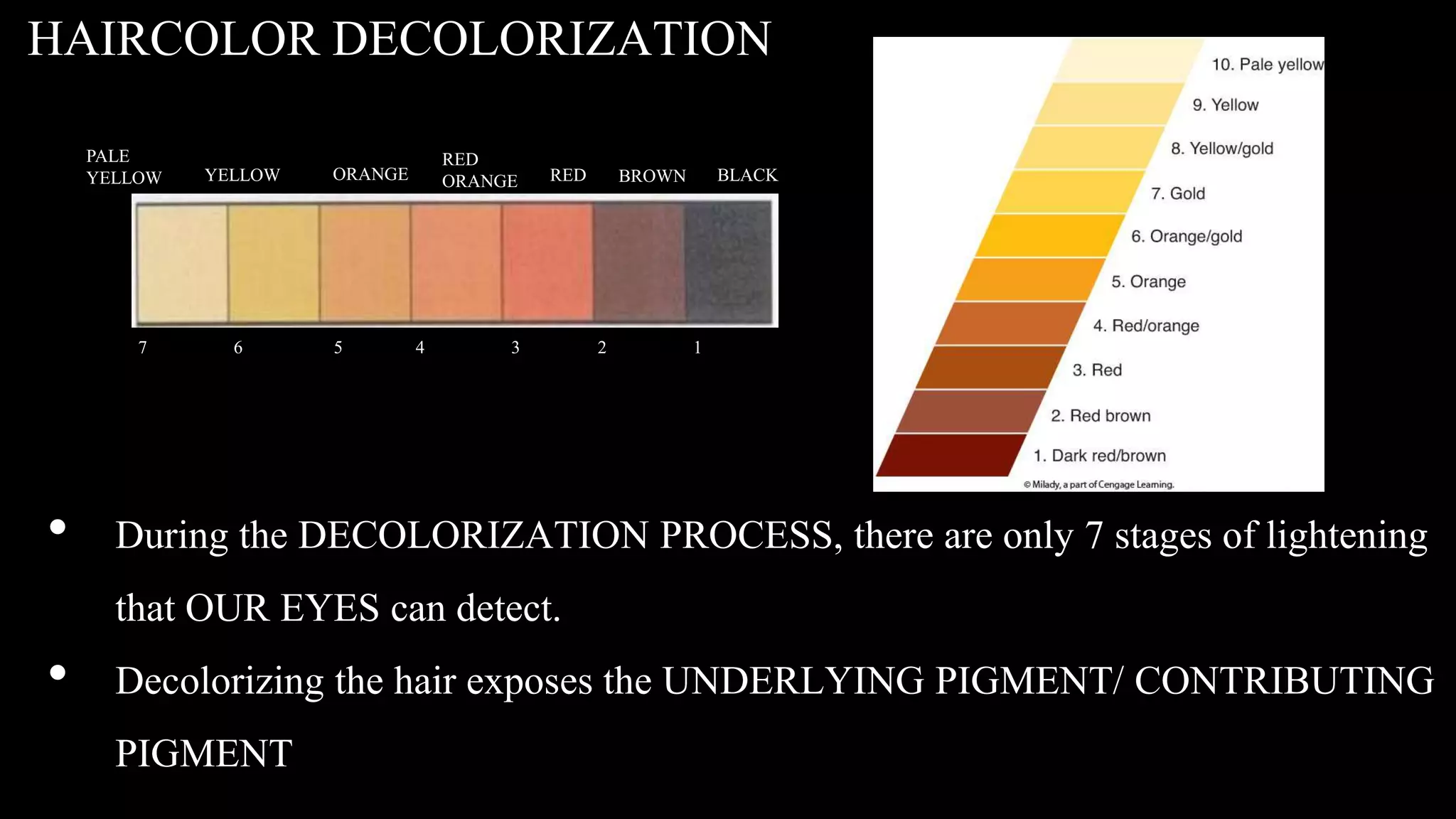 Milady Haircolor | PPTX