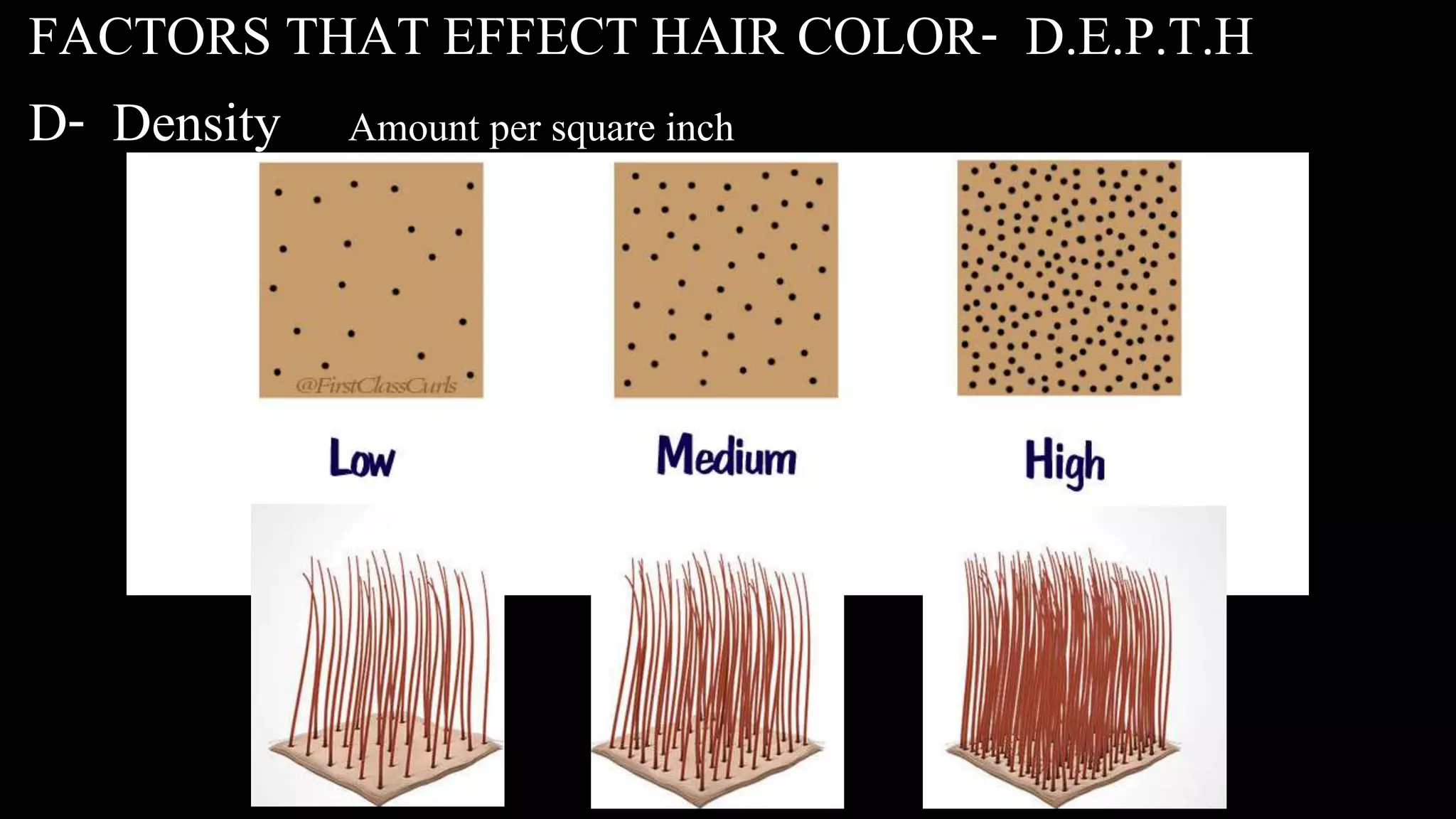 Milady Haircolor | PPTX