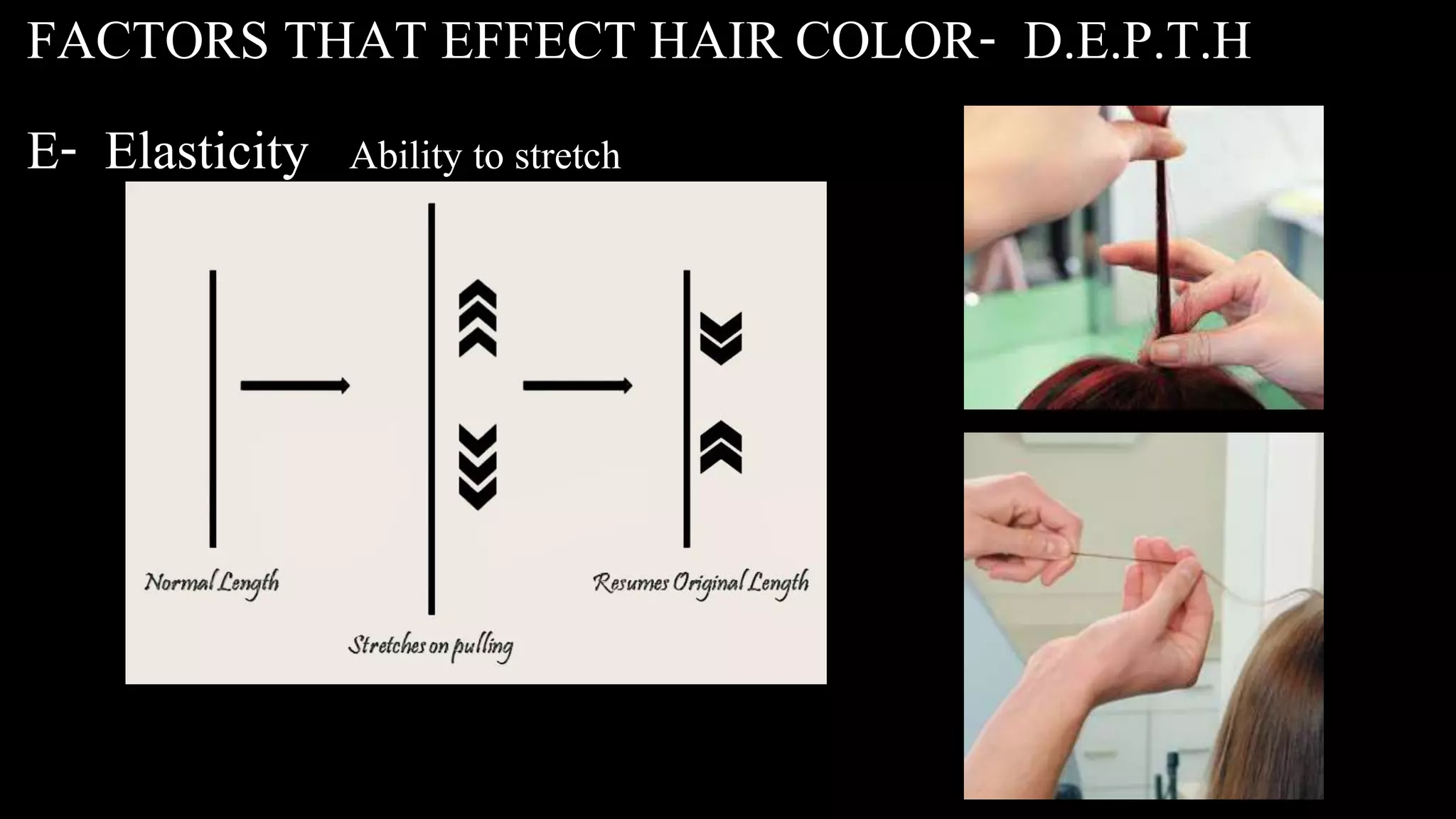 Milady Haircolor | PPTX