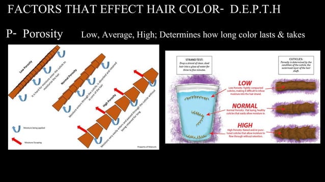 Milady Haircolor | PPTX