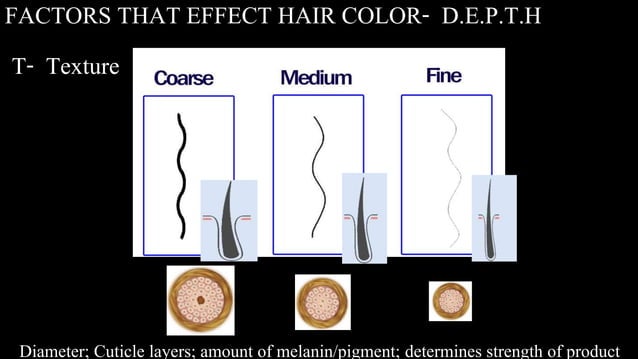 Milady Haircolor | PPTX