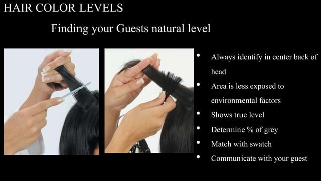 Milady Haircolor | PPTX