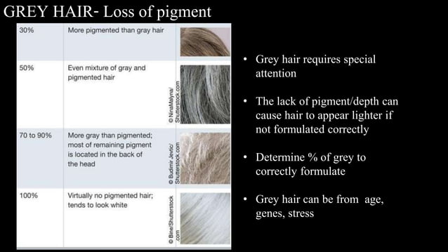 Milady Haircolor | PPTX