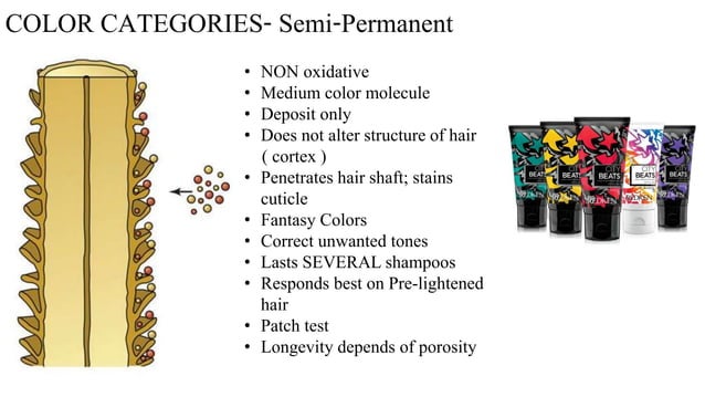 Milady Haircolor | PPTX