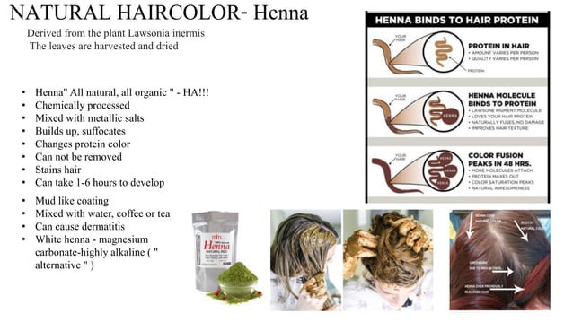 Milady Haircolor | PPTX