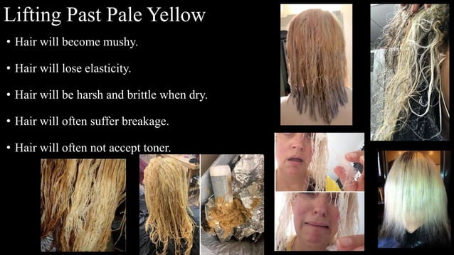 Milady Haircolor | PPTX