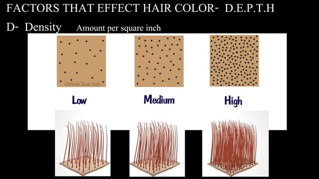 Milady Haircolor | PPTX