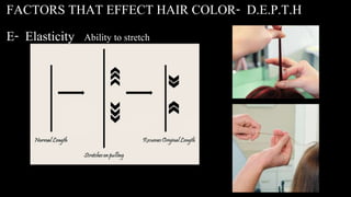 Milady Haircolor | PPTX