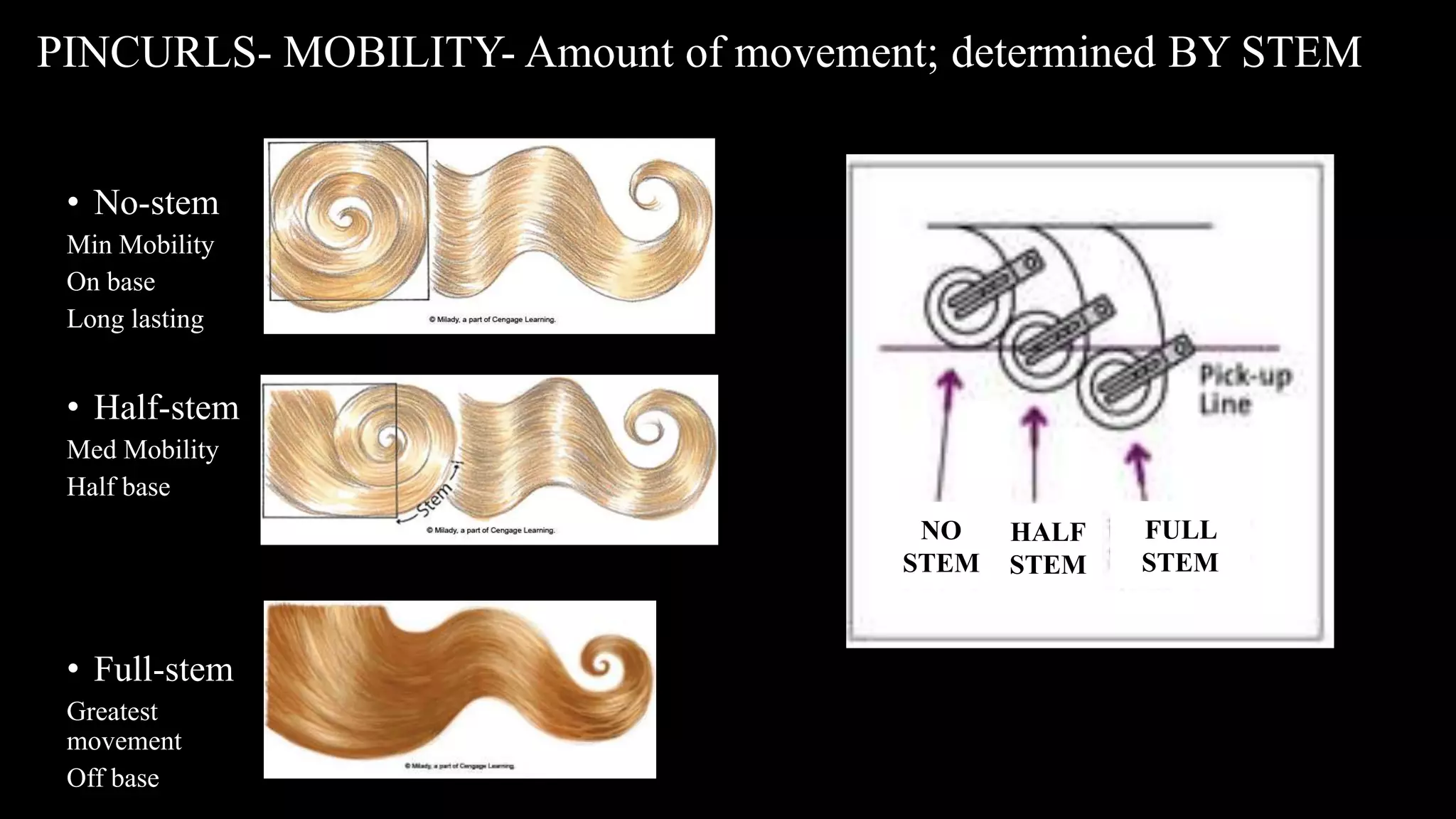 Milady Hairstyling | PPTX