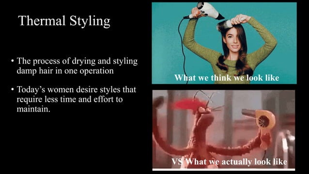 Milady Hairstyling | PPTX | Hair Care | Beauty
