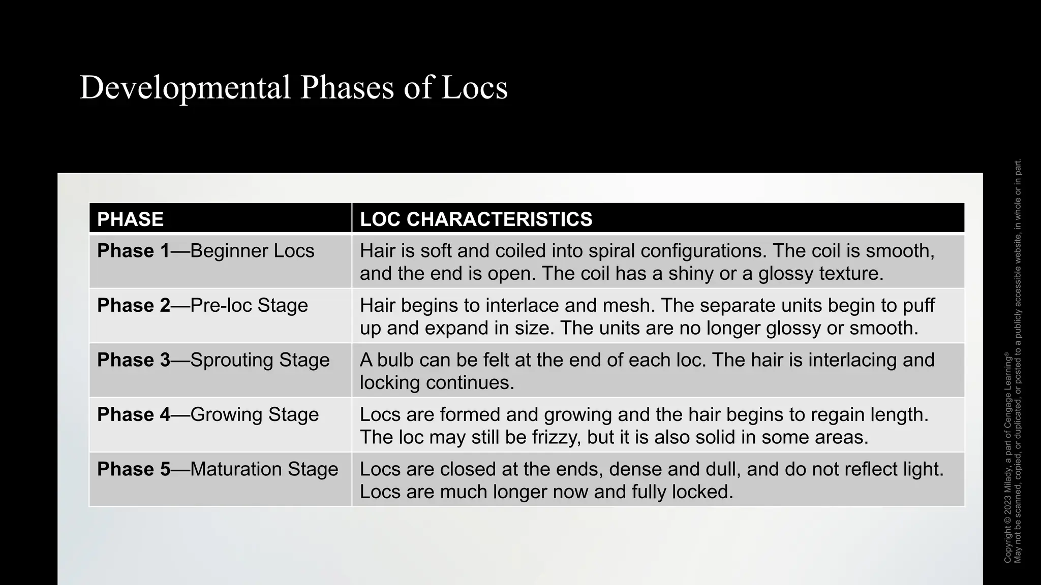 Milady Hairstyling NOV 2023.pdf