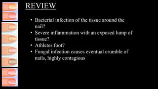 Milady nail disease & disorder | PPTX