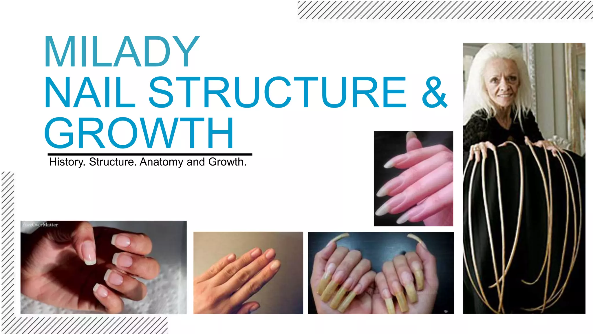Milady nail structure | PPTX