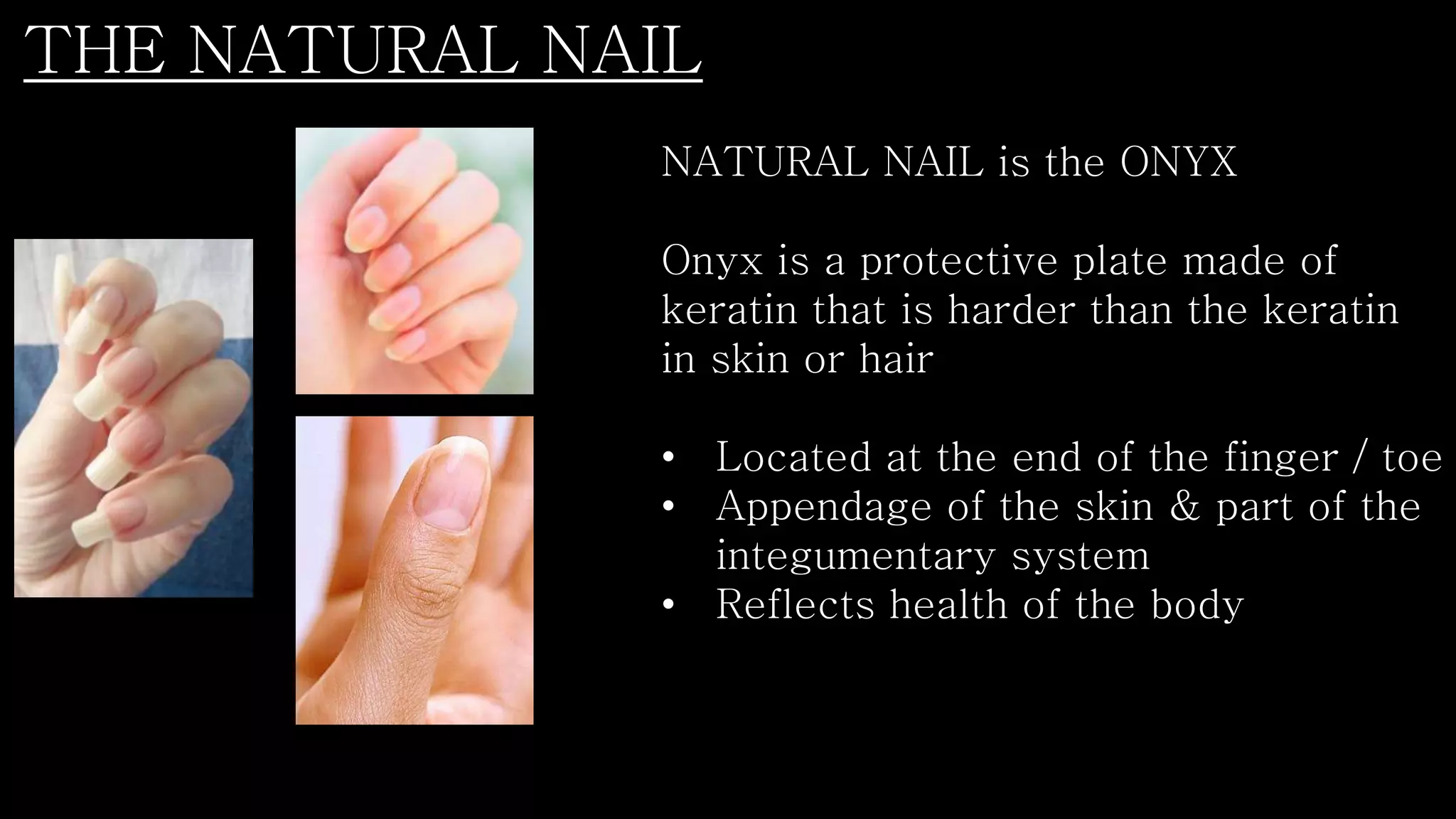 Milady nail structure | PPTX