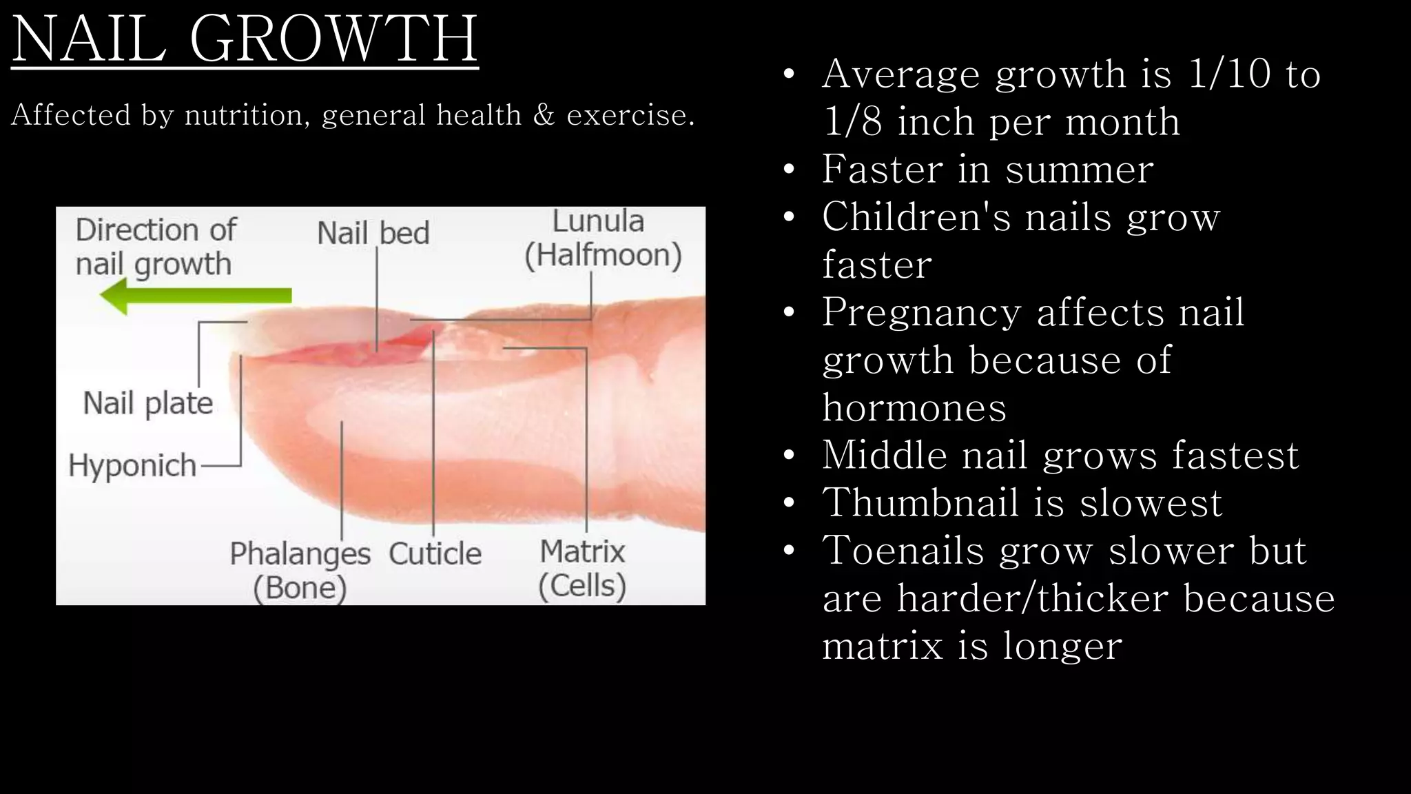 Milady nail structure | PPTX