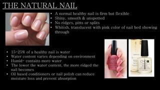 Milady nail structure | PPTX