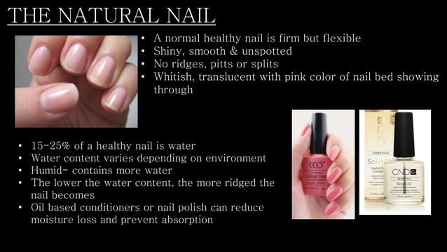 Milady nail structure | PPTX | Nail Care | Beauty