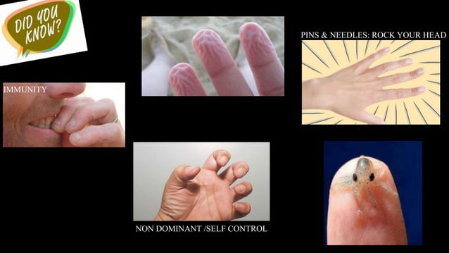 Milady nail structure | PPTX | Nail Care | Beauty