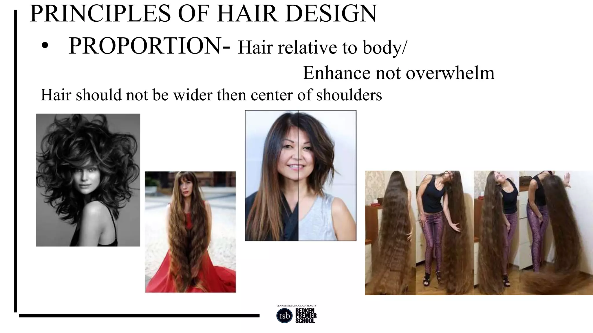 Milady principles of hair design | PPTX
