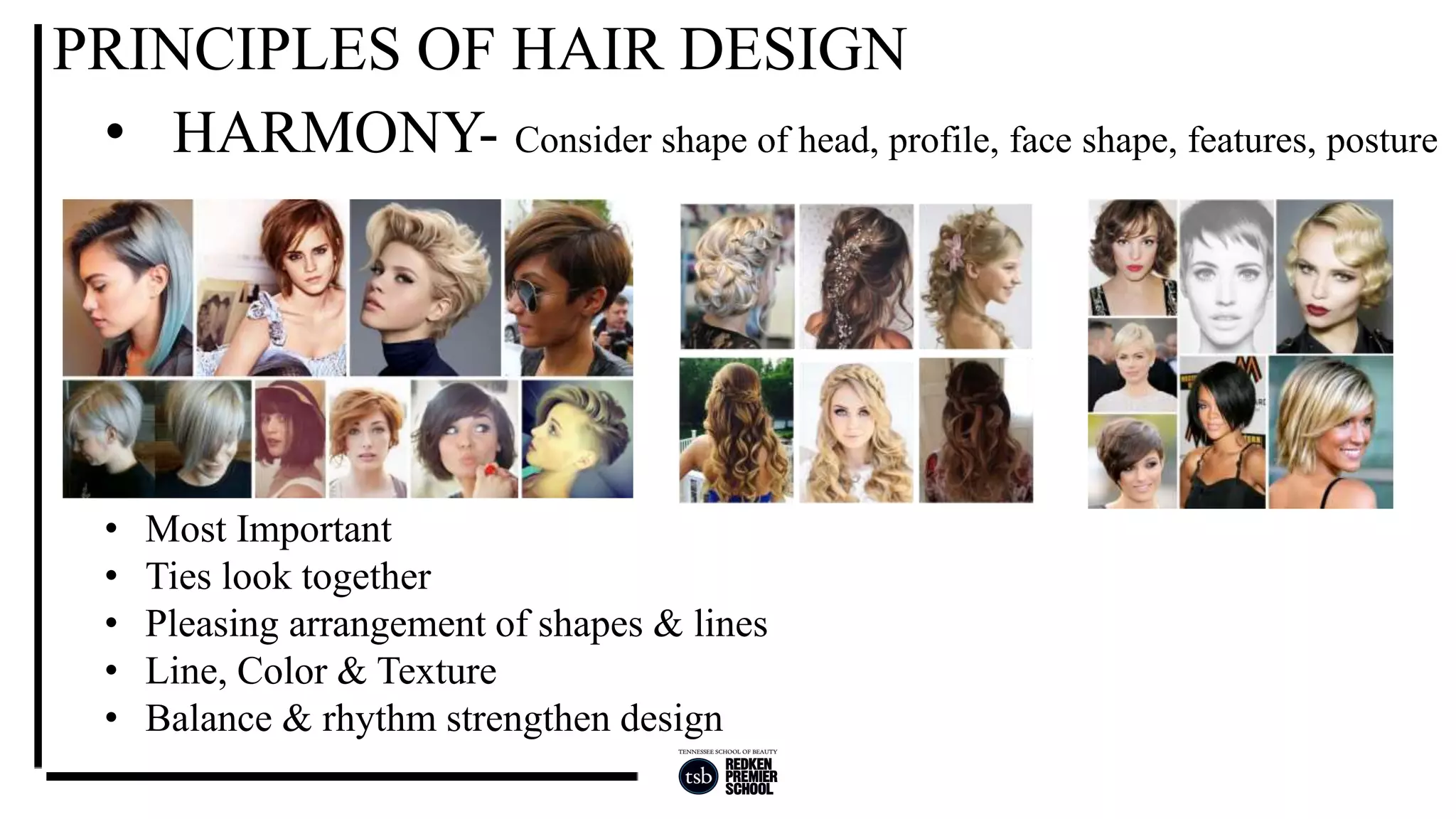 Milady principles of hair design | PPTX