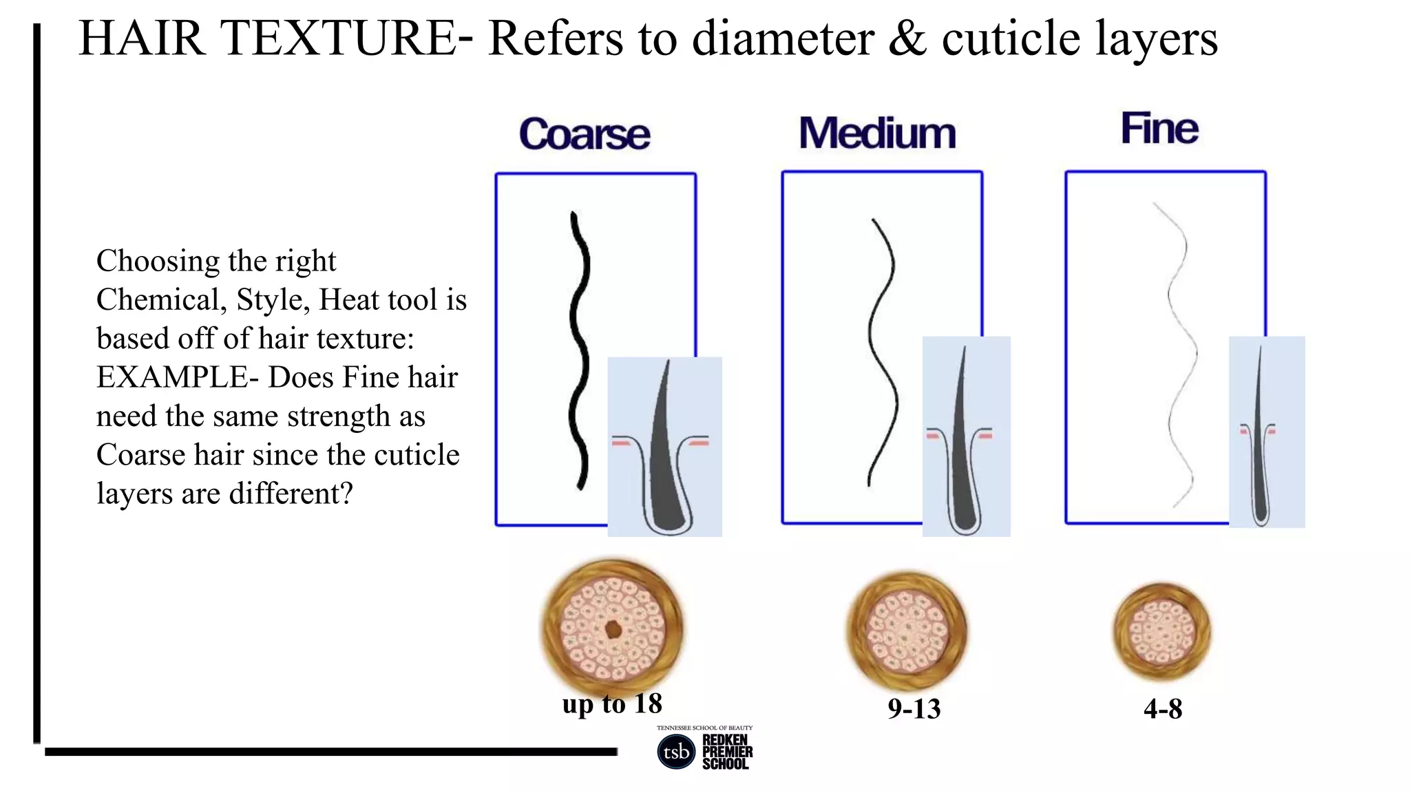 Milady principles of hair design | PPTX