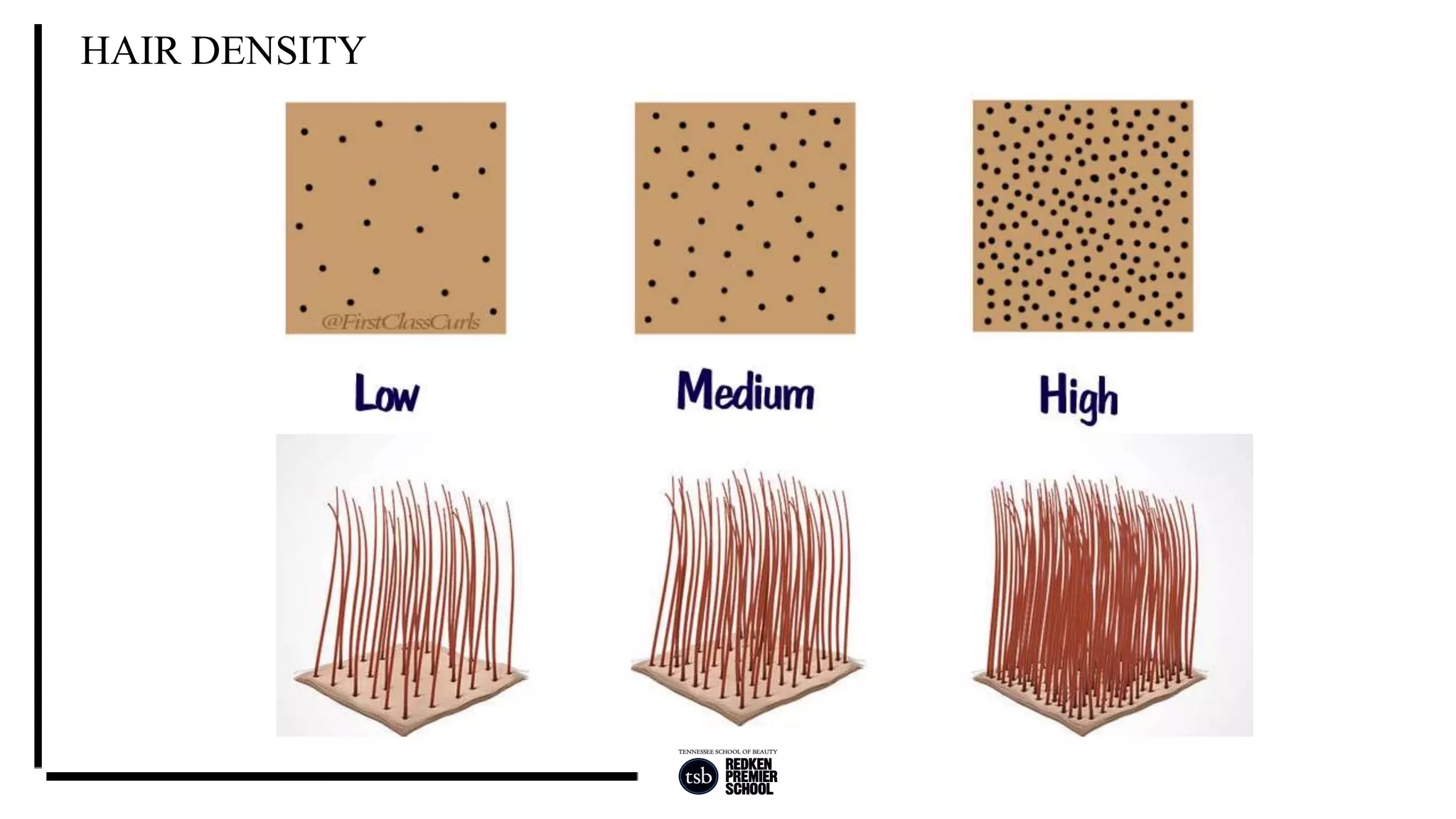 Milady principles of hair design | PPTX