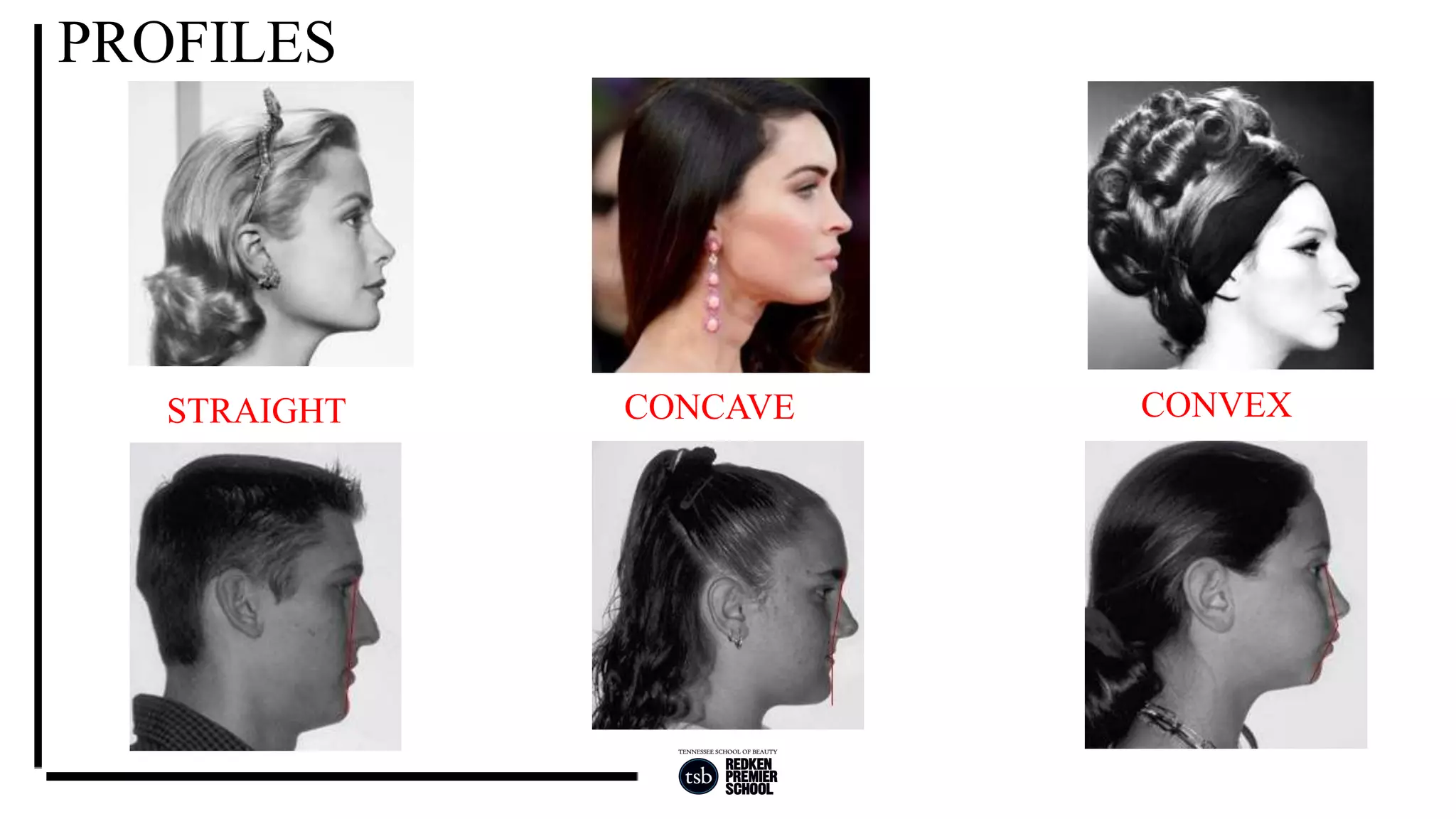 Milady principles of hair design | PPTX
