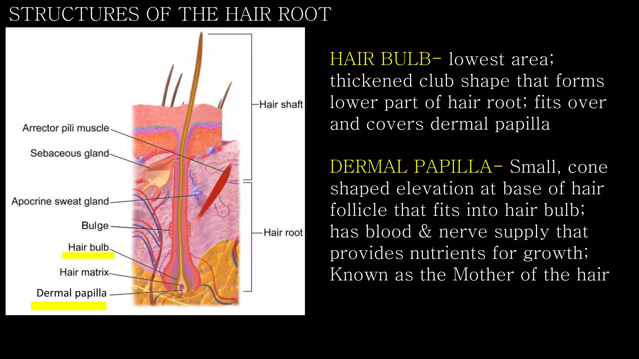 Milady properites of the hair and scalp updated | PPTX