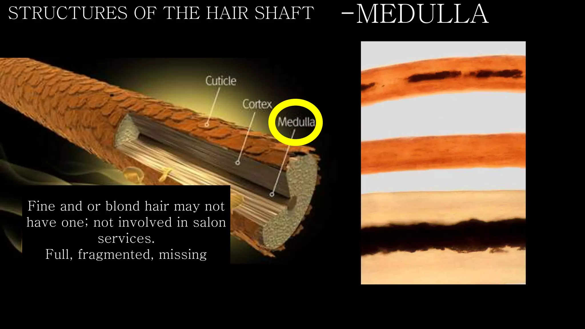 Milady properites of the hair and scalp updated | PPTX