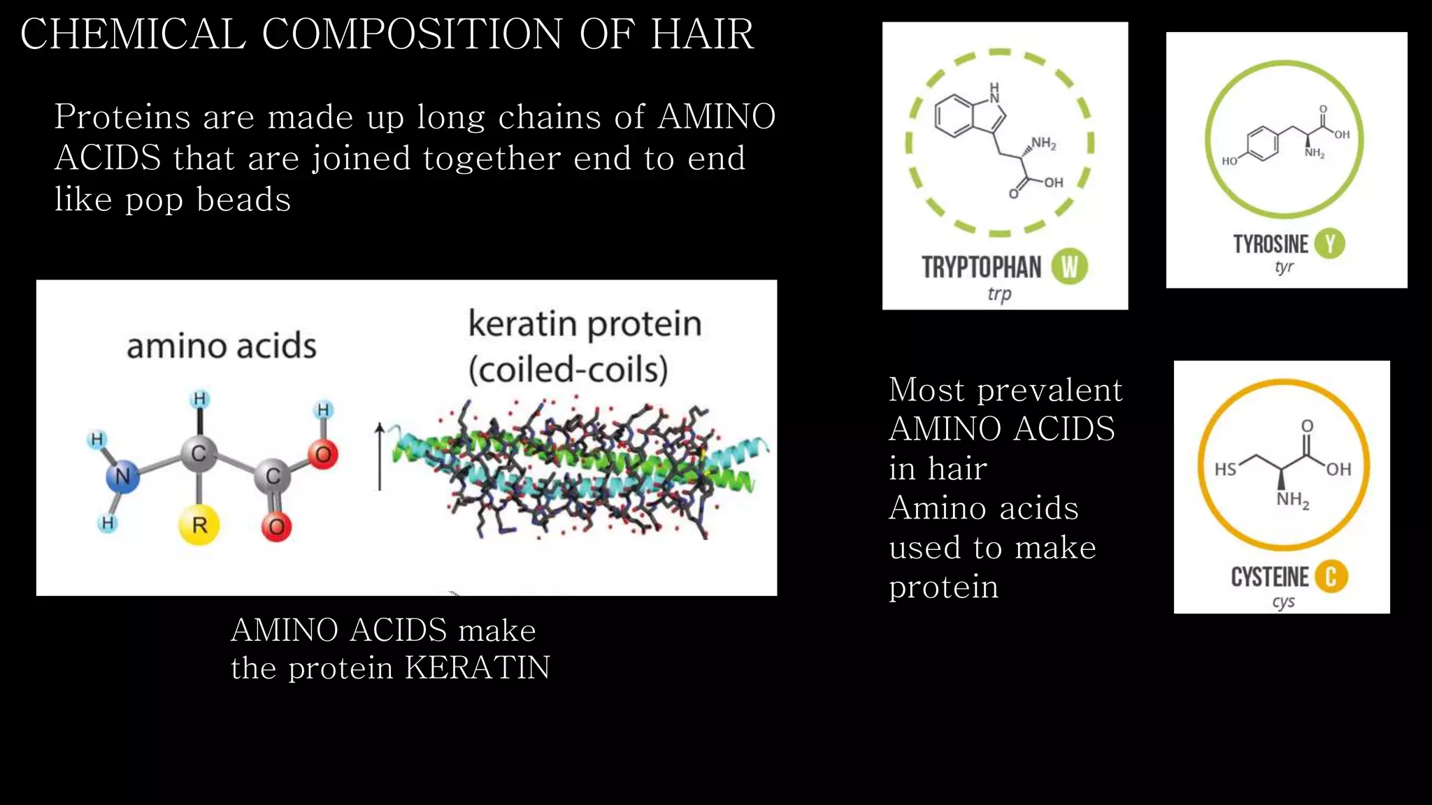 Milady properites of the hair and scalp updated | PPTX