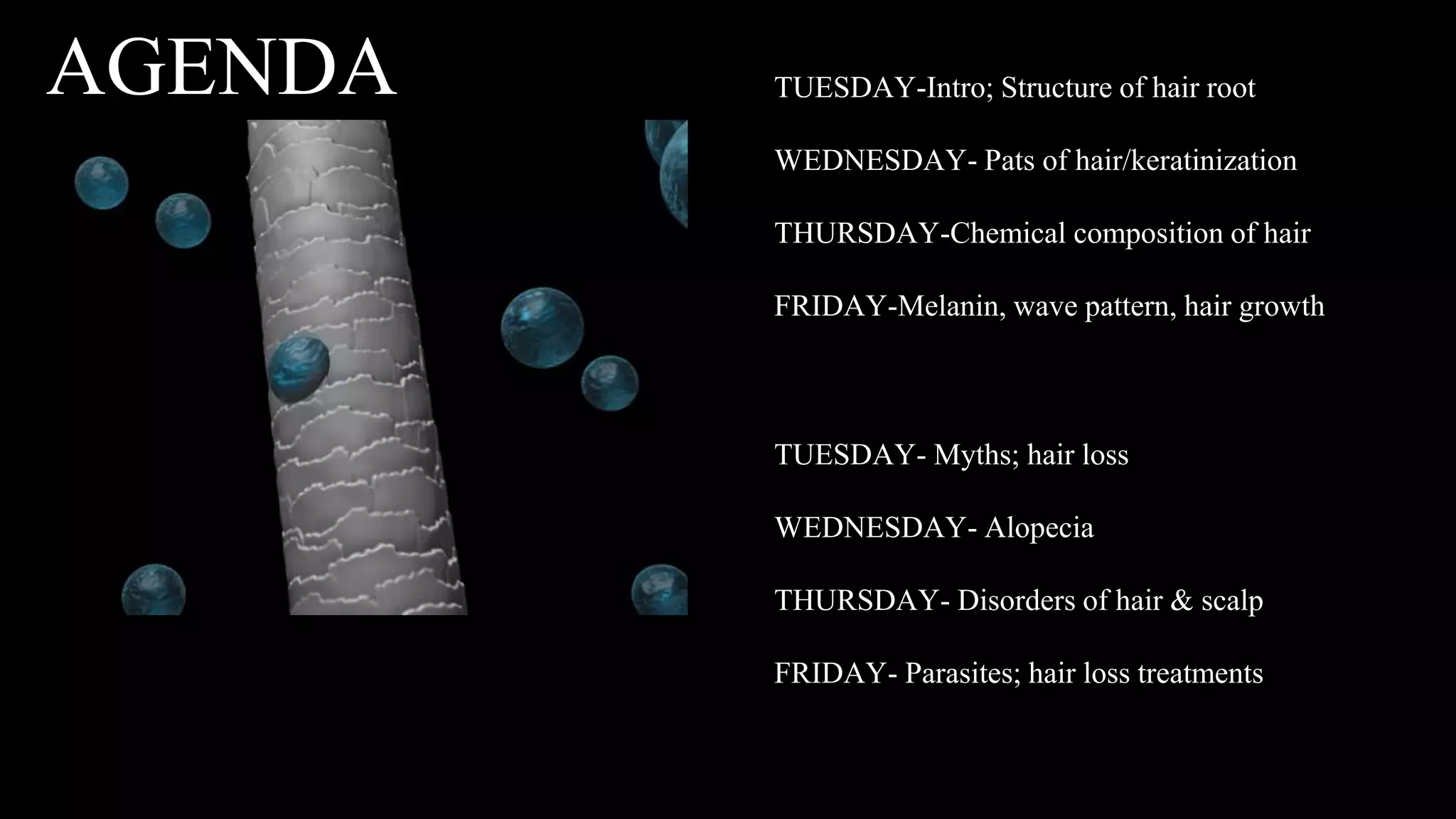 Milady properites of the hair and scalp updated | PPTX