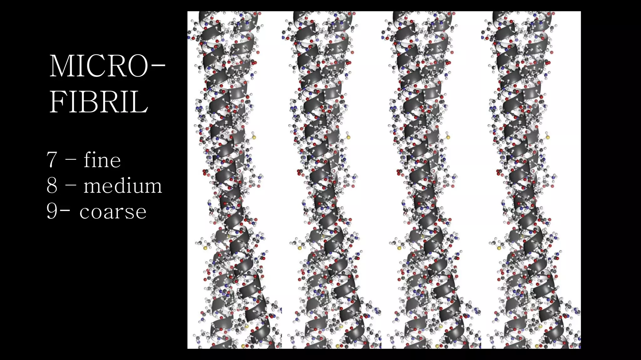 Milady properites of the hair and scalp updated | PPTX