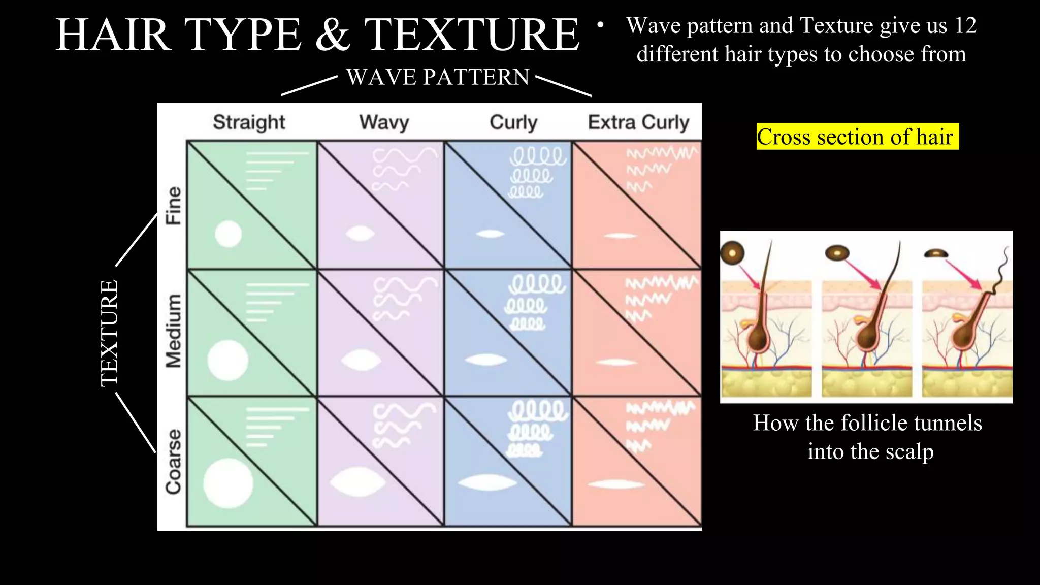 Milady properites of the hair and scalp updated | PPTX