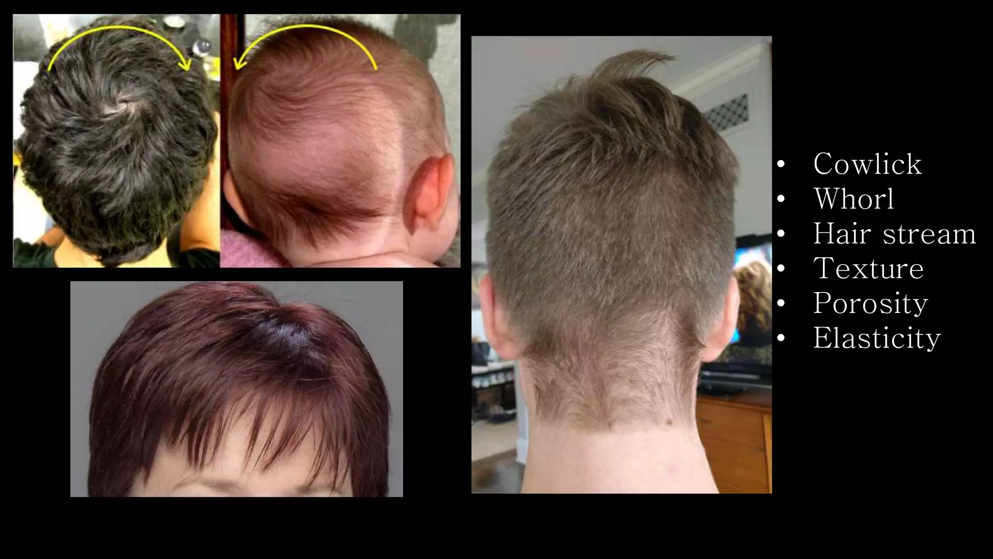 Milady properites of the hair and scalp updated | PPTX