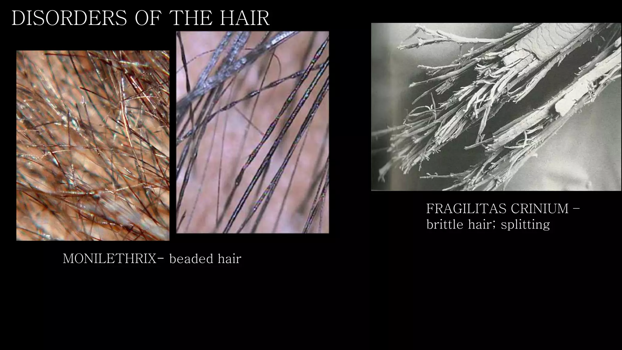 Milady properites of the hair and scalp updated | PPTX