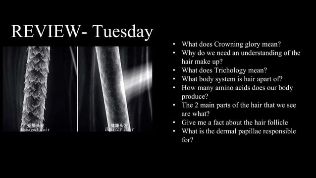 Milady properites of the hair and scalp updated | PPTX