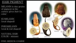 Milady properites of the hair and scalp updated | PPTX