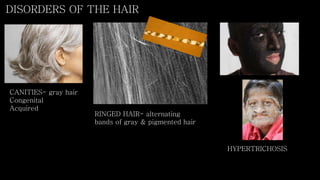 Milady properites of the hair and scalp updated | PPTX