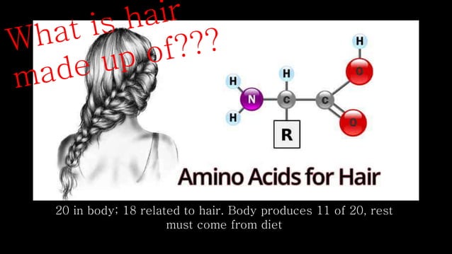 Milady properites of the hair and scalp updated | PPTX