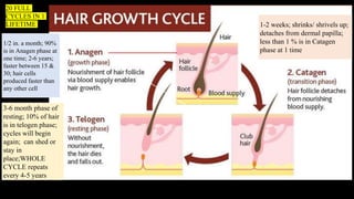 Hair Structure Diagram Milady